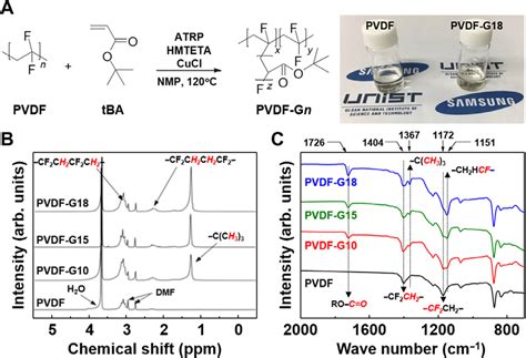 Synthesis Of Pvdf Gn Graft Copolymers A Synthesis Of Pvdf Gn Graft Download Scientific