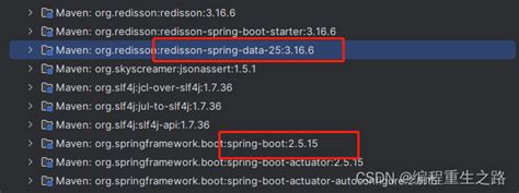 使用redis zset zadd方法异常情况 handler dispatch failed； nested exception is