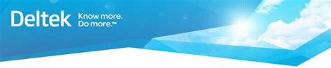 Deltek First Vision Essentials