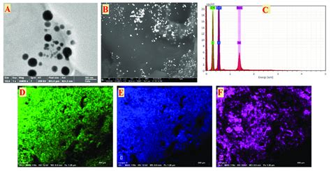 Tem Image A Sem Image B Elemental Analysis C And Sem Edx Download Scientific Diagram
