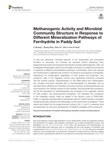 Pdf Methanogenic Activity And Microbial Community Structure In