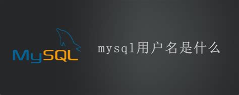 mysql用户名是什么 mysql教程 php中文网