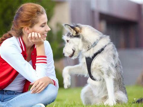 Курс повышения квалификации «Основы зоопсихологии ИНФОУРОК