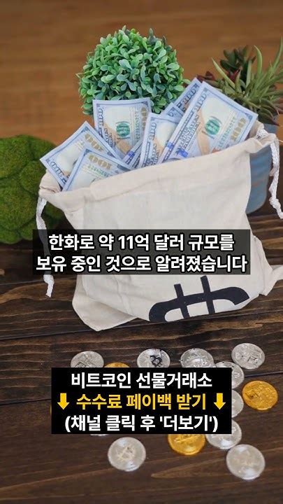 부탄 비트코인 11억 달러 보유 공식 인정국가 전략 비축 자산 된다 Youtube