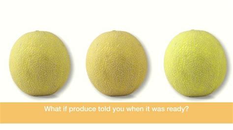 Nasir Ahmed On Linkedin Company Video English Subs 1080p