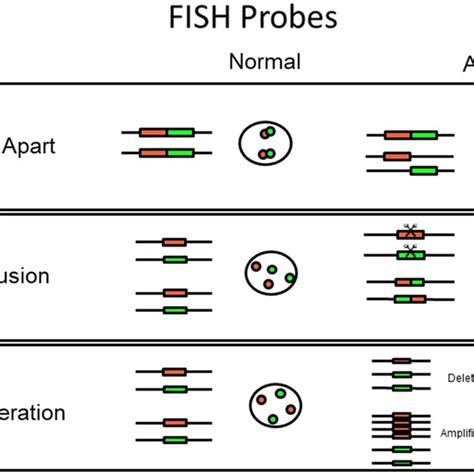 Three Different Types Of Probes Commonly Used In Clinical Practice A Download Scientific