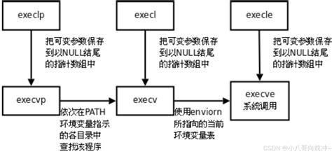 Linux中的进程控制（下） Csdn博客