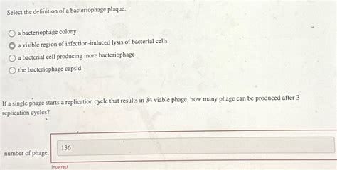 Solved Select The Definition Of A Bacteriophage Plaque A