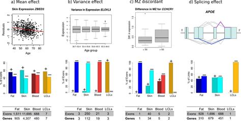 Effects Of Aging In Gene Expression The Effect Of Aging In Gene