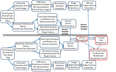 System Block Diagram Multimodal Biometrics Recognition From Video Download Scientific Diagram