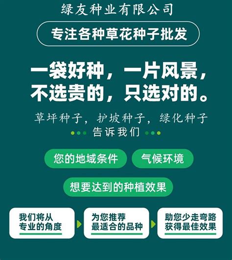 批发野花组合种子耐旱庭院四季波斯菊百日草花籽南北方多年生易活 阿里巴巴