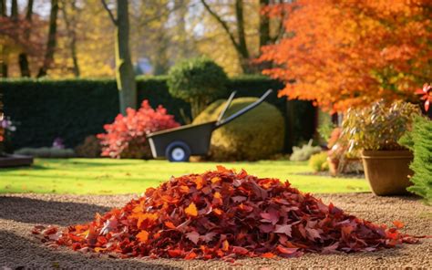 Leaf Pile Dangers Eco Care Pest Management