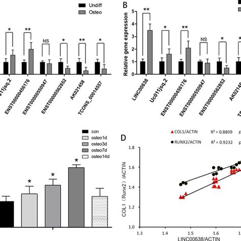 Lncrna00638 Is Associated With Osteogenic Differentiation A The Download Scientific Diagram