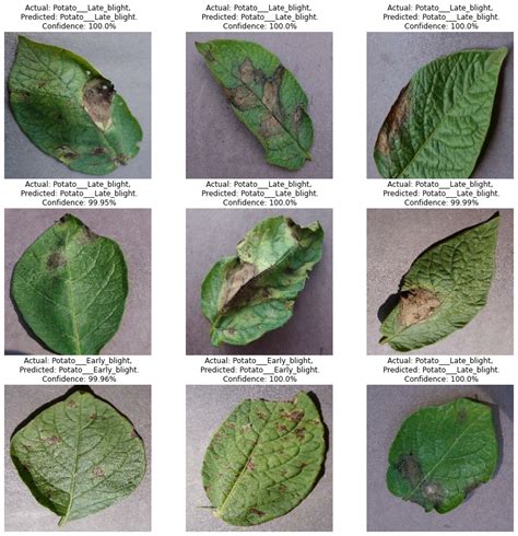 GitHub Drago389 Potato Disease Classification End To End Deep Learning Project To Classify