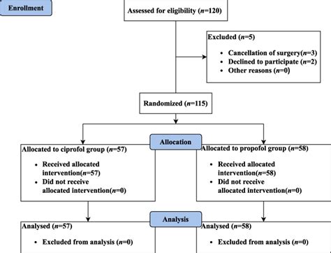 Bispectral Index Monitored Anesthesia Induction In Older Adults Underg Dddt