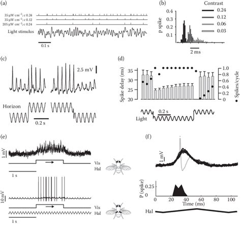 Spike Timing In Insect Sensory Motor Systems A Spikes Vertical Download Scientific Diagram