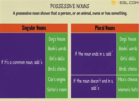 Possessive Nouns Forming The Possessive Noun With Easy Examples • 7esl