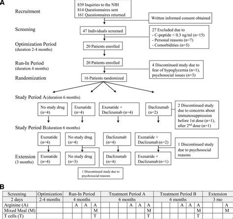 Study Design A And Timeline For Testing Procedures B 20 Patients Download Scientific