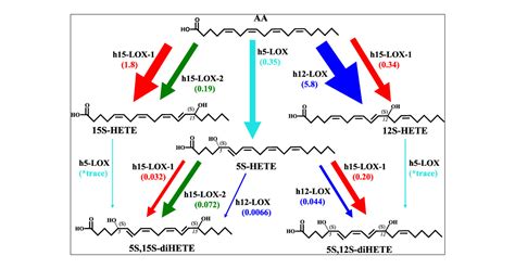 Role Of Human 15 Lipoxygenase 2 In The Biosynthesis Of The Lipoxin Intermediate 5s15s Dihpete