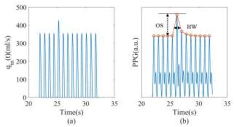 A Definition Of A Pulse Stimulus B The Simulated Ppg Response And