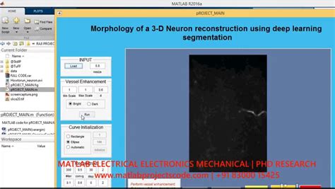 Morphology Of A 3d Neuron Reconstruction Using Deep Learning Segmentation