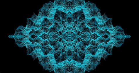 Shimy Shimy Foundation