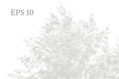 투명 천연 자작 나무 나뭇 가지 그림자 라이트 효과 오버레이 메시 그리드 디자인 카드 포스터 사진 사실적인 일러스트 를 발표 0명에 대한 스톡 벡터 아트 및 기타 이미지