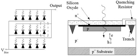 Electrical Scheme Of A Sipm The Spads Are Connected On One Side To Download Scientific Diagram