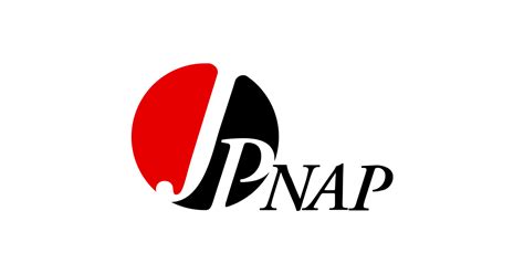 What Is Network Redundancy Jpnap