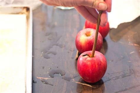 How To Make Candy Apples A Step By Step Guide Thecookful