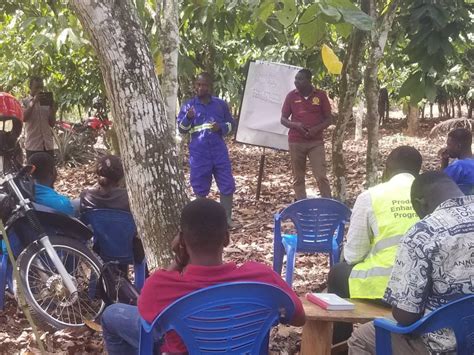 Cocoa Farmers Urged To Embrace Cocoa Pruning Exercise Myjoyonline