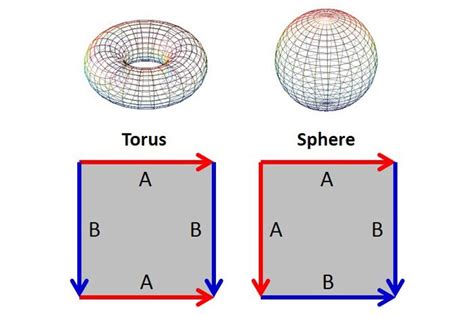 What Is Topology Live Science