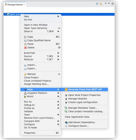 Build An Application From An API Specification MuleSoft Documentation
