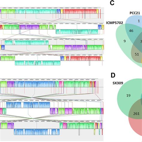 Comparison Of Pectobacterium Carotovorum Subsp Carotovorum Pcc Icmp Download Scientific