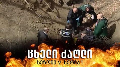 ცხელი ძაღლი სეზონი 5 სერია 1 Youtube