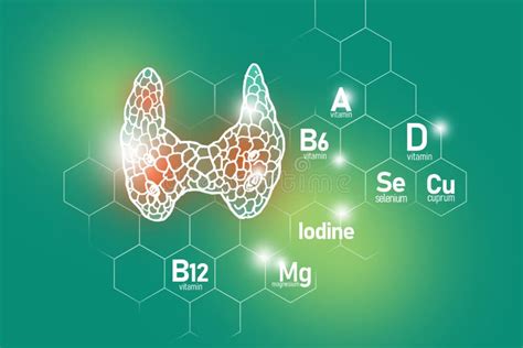 Essential Nutrients For Thyroid Gland Health Including Iodine Selenuim Vitamin B6 Cuprum