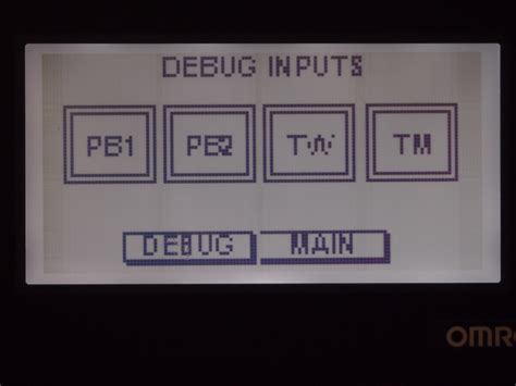 Inputs Debug