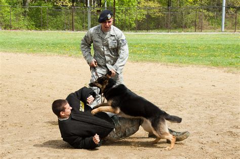 Cops Showcase Capabilities During Police Week Hanscom Air Force Base Article Display