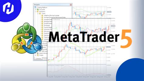 cara input and jenis indikator trading metatrader 5 hsb investasi