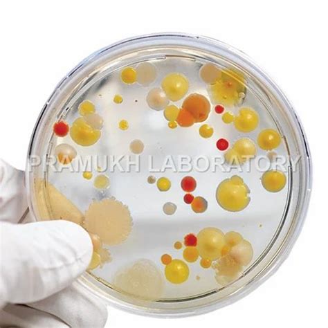 Elemental Trace Testing Services At Rs 199sample In Ahmedabad Id