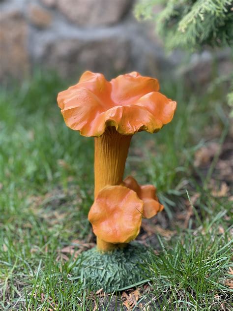 ᐉ Фігура садова ДімФігурок Гриб лисичка 836 • Краща ціна в Києві Україні • Купити в Епіцентр