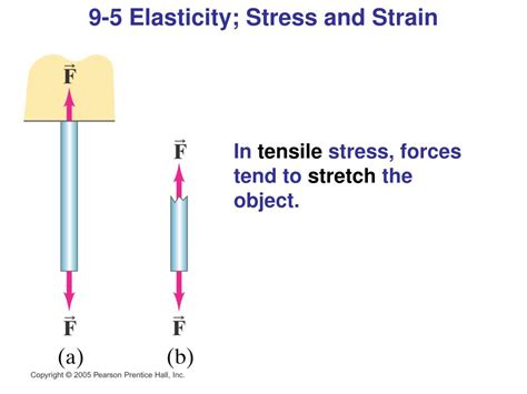 Ppt Chapter 9 Static Equilibrium Elasticity And Fracture Powerpoint