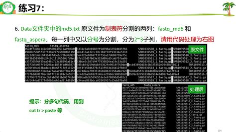 linux 零基础入门 day12 腾讯云开发者社区 腾讯云