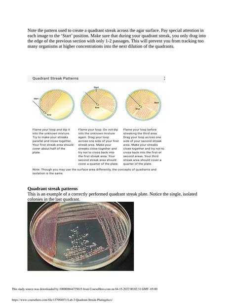 Solution Lab 3 Quadrant Streak Plating Docx Studypool Solution Lab 3 Quadrant Streak Plating Docx Studypool