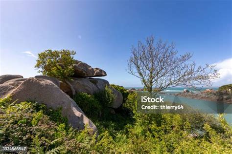 플로마치나흐의 화강암 바위 코트 도르 브리트니 프랑스 0명에 대한 스톡 사진 및 기타 이미지 0명 돌 바위 만 Istock