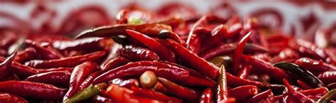 Simpliaxis Inc Your Curiosity In Data Science Has Led You Here Begin Your Data Science