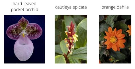 Udacity On Linkedin Implementing An Image Classifier With Pytorch Part 1