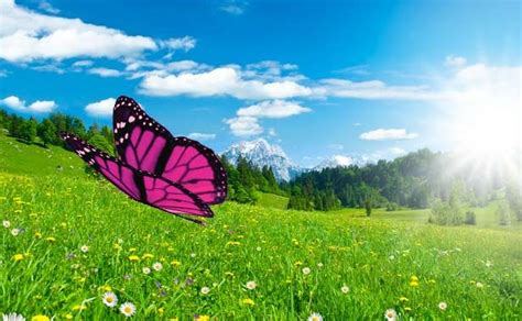 20 Stunning Examples Of Css 3d Transforms Creative Bloq