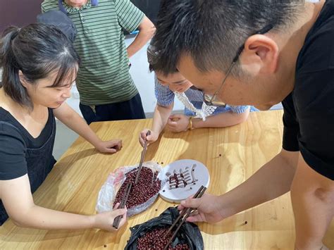 安吉县昌硕小学：趣味运动会共促廉洁风