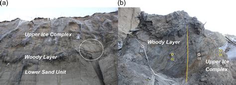 Figure A3 Sediment Profile B19 03 6758004 • N 13476130 • E A